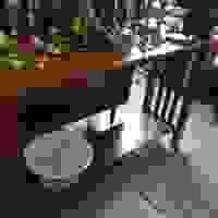 Miss Pixie's Homepage