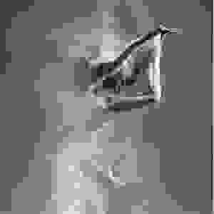 Babel - A Gym Like No Other