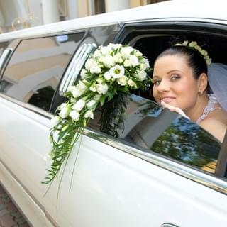 New York City Night Out Limo Service on Strikingly