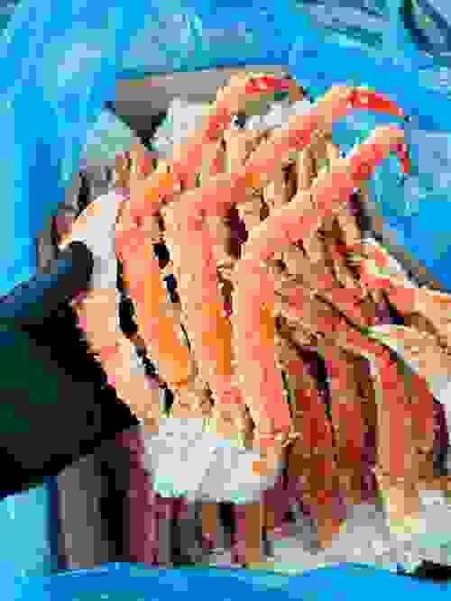 Crab and Lobster - King Crab