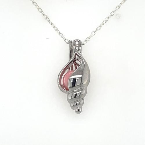 Conch Shell Pearls Bahamas