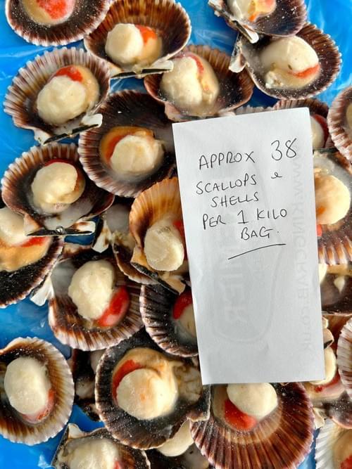 Frozen Shellfish - King Crab