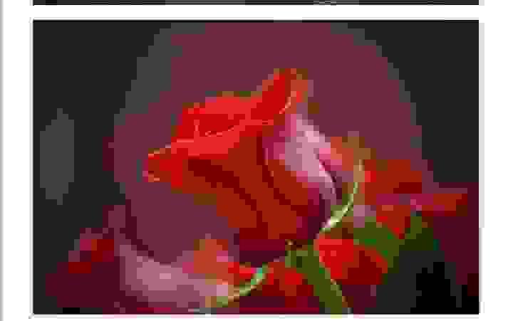 Austrian Club Melbourne