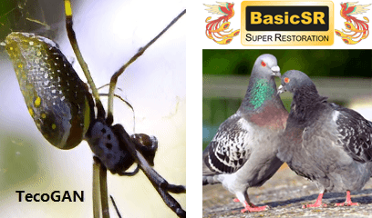 JavPlayer&EZ(J) on Strikingly