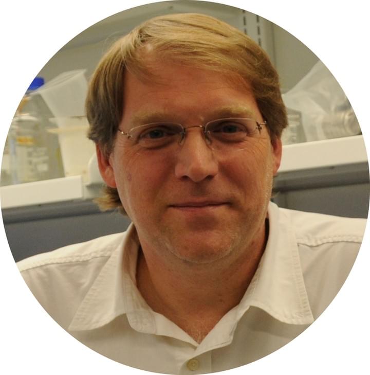 International Bordetella Society