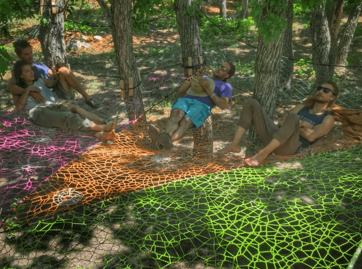 TreeNet Willy's | Custom Rope Platforms for Elevated Living