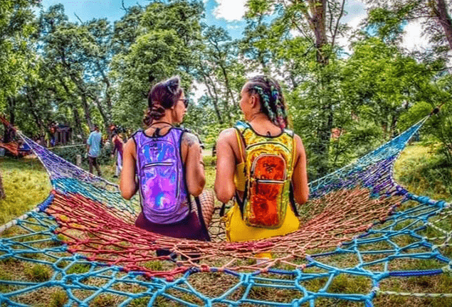 TreeNet Willy's | Custom Rope Platforms for Elevated Living