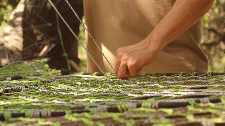 TreeNet Willy's | Custom Rope Platforms for Elevated Living