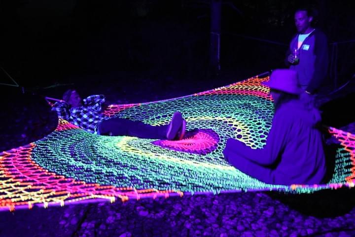 TreeNet Willy's | Custom Rope Platforms for Elevated Living