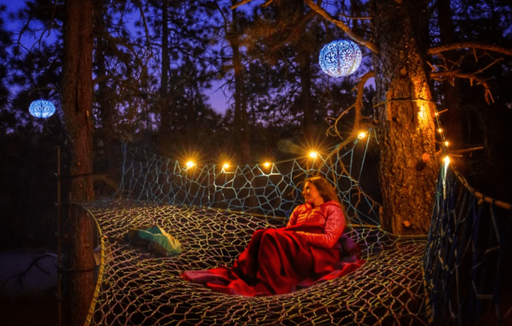 TreeNet Willy's | Custom Rope Platforms for Elevated Living