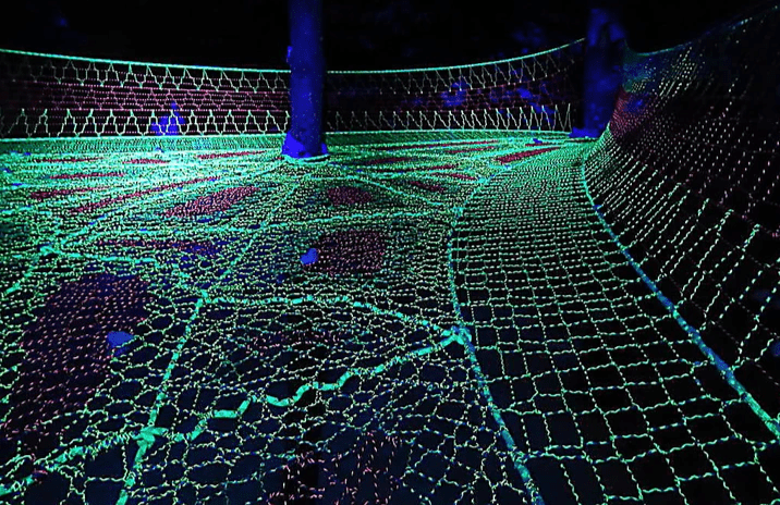 TreeNet Willy's | Custom Rope Platforms for Elevated Living