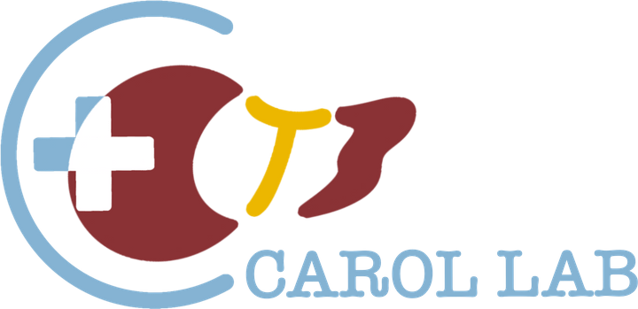 Publications - Prof. Tong Carol's Lab