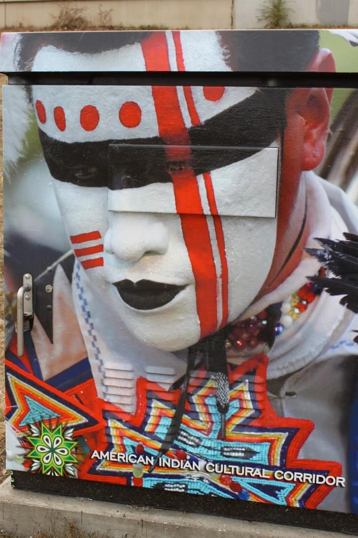 Native American Community Development Institute