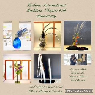 Ikebana Madison on Strikingly