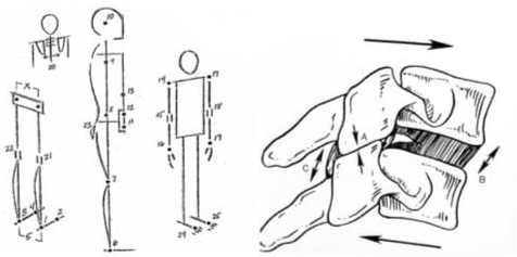 Callie Rose Ritter Movement