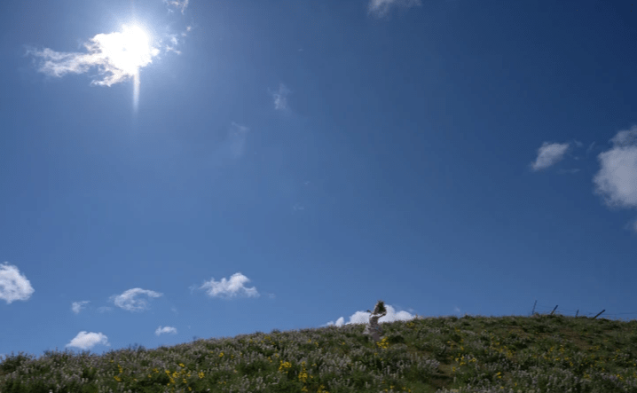 Callie Rose Ritter Movement