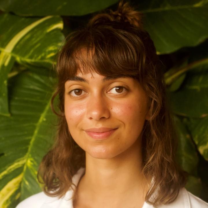 Who We Are - Post Growth Institute