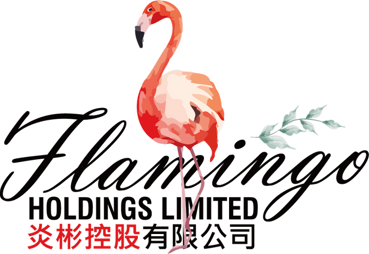 FLAMINGO HOLDINGS