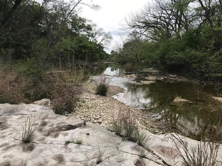 Friends of River Ranch County Park