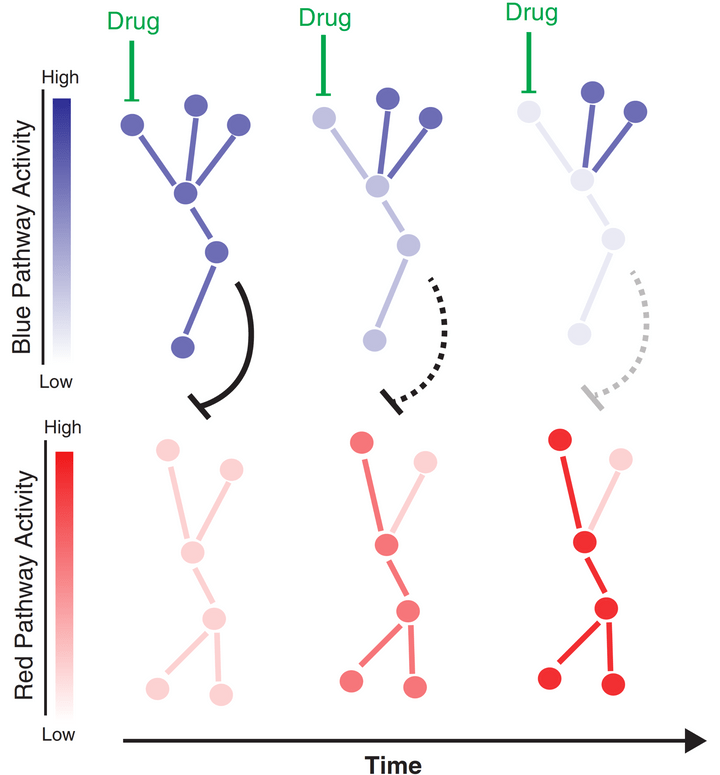 Lab for Cell Dynamics on Strikingly