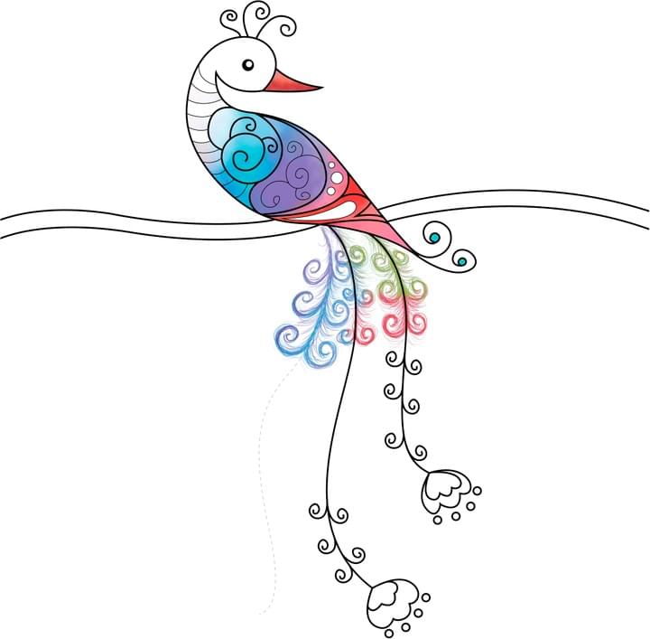 Chroma Coloring Books for Adults