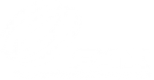 PAX A930 - Android mobile payment terminal