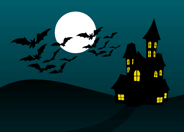 Top 10 Spooky Clips to Enhance Your Halloween Projects | Stockfilm