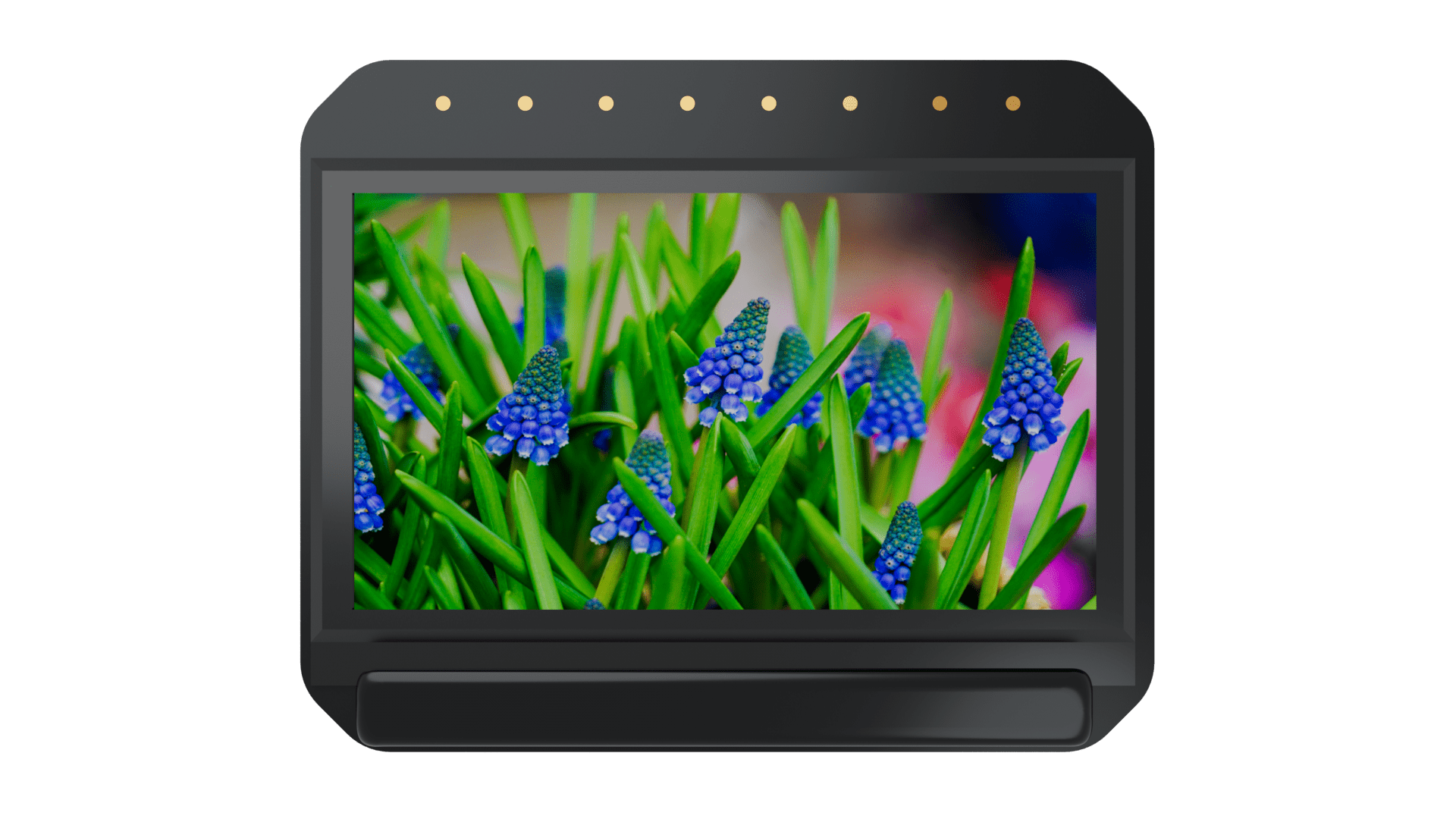micro display