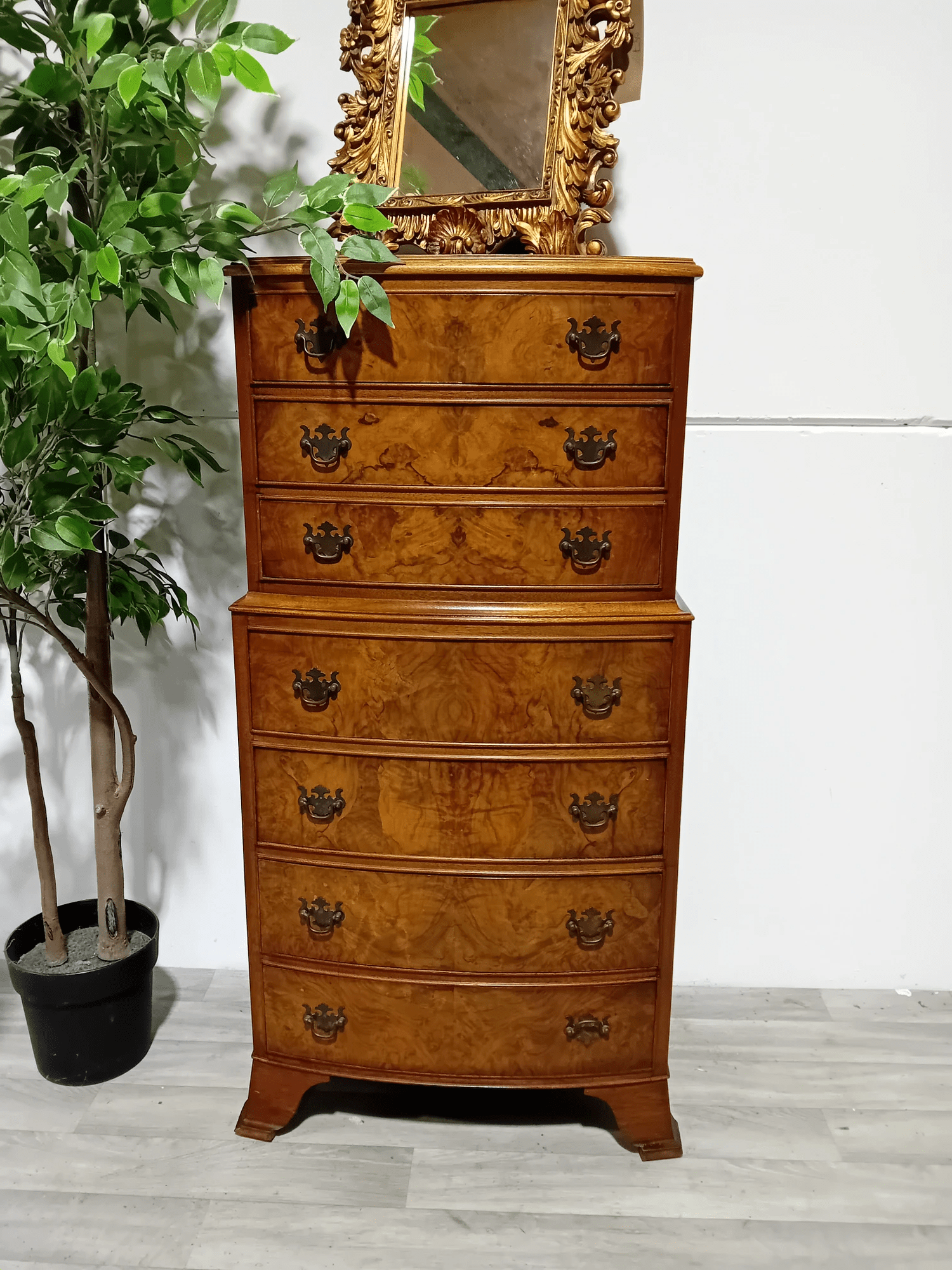 Reproduction Walnut Tallboy