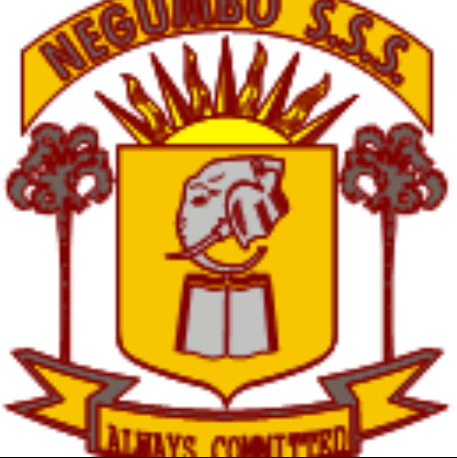 Negumbo SSS on Strikingly