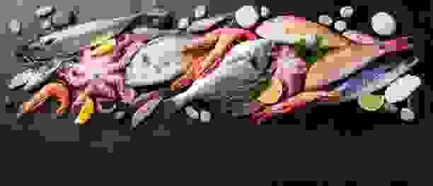 The Best Halal Seafood Dishes to Try Today