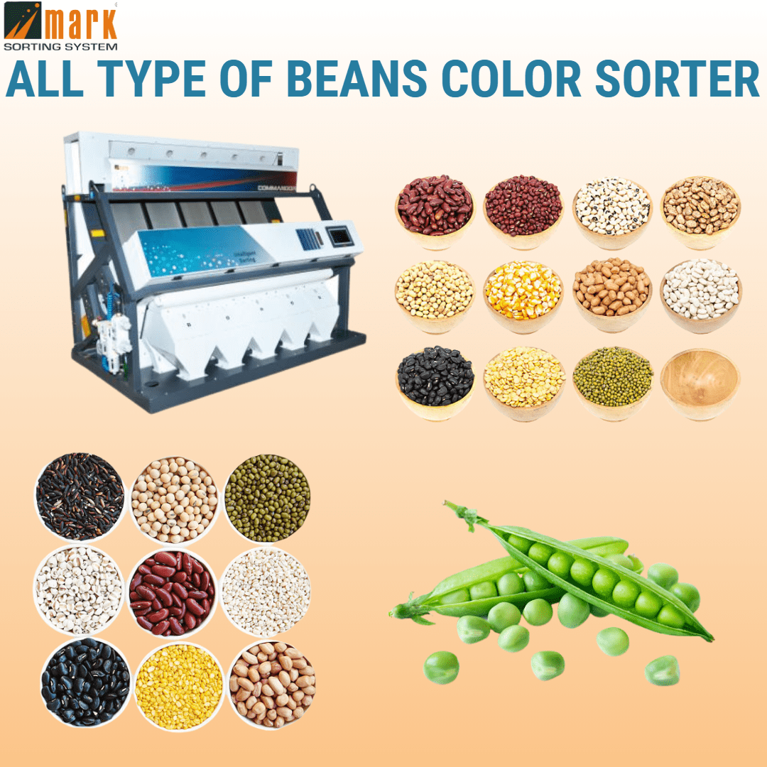 color sorting machines for seeds industries