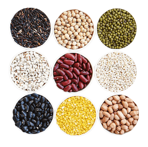 color sorter machine in coimbatore