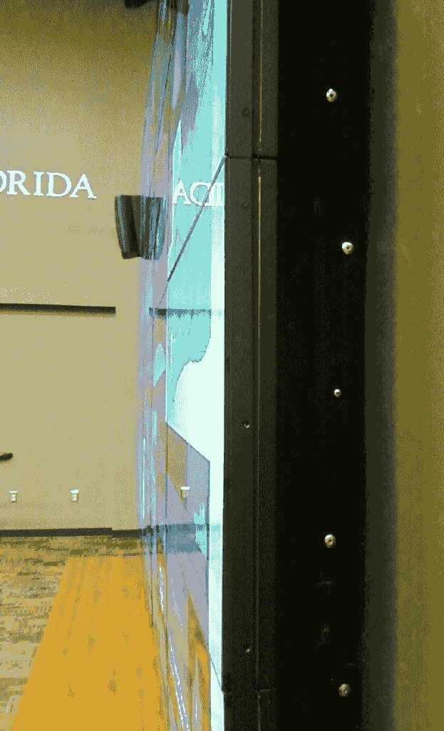 Usf tampa 3d visualization human body