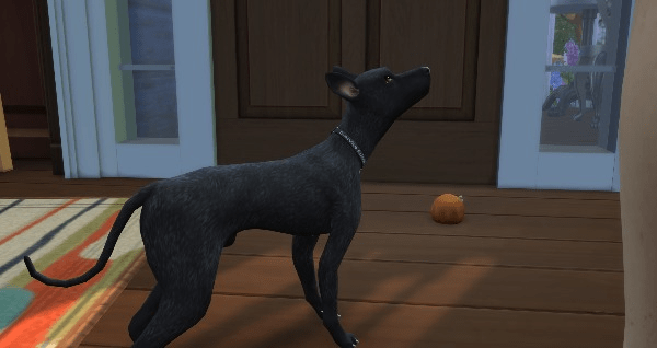 Sims 4 control pet mod