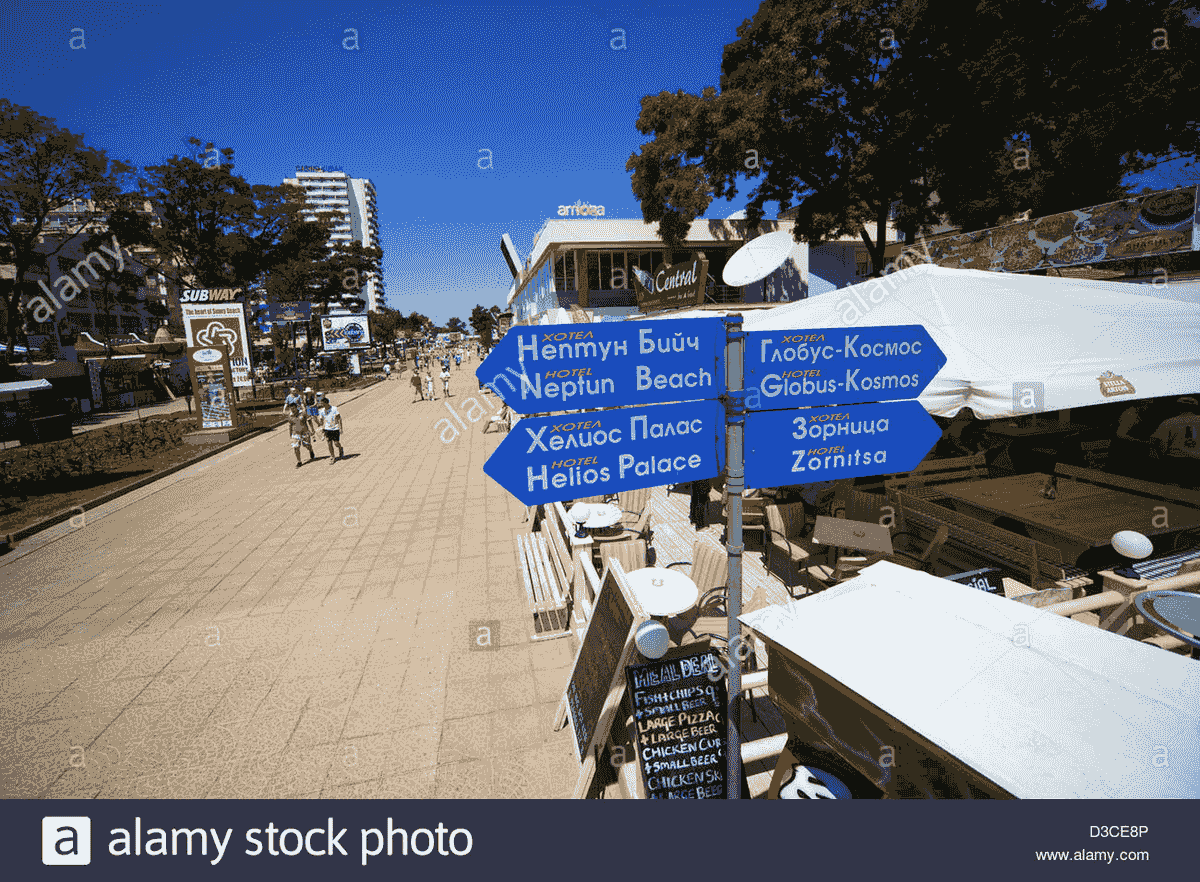 Sunny europe catalogue 2023 price list