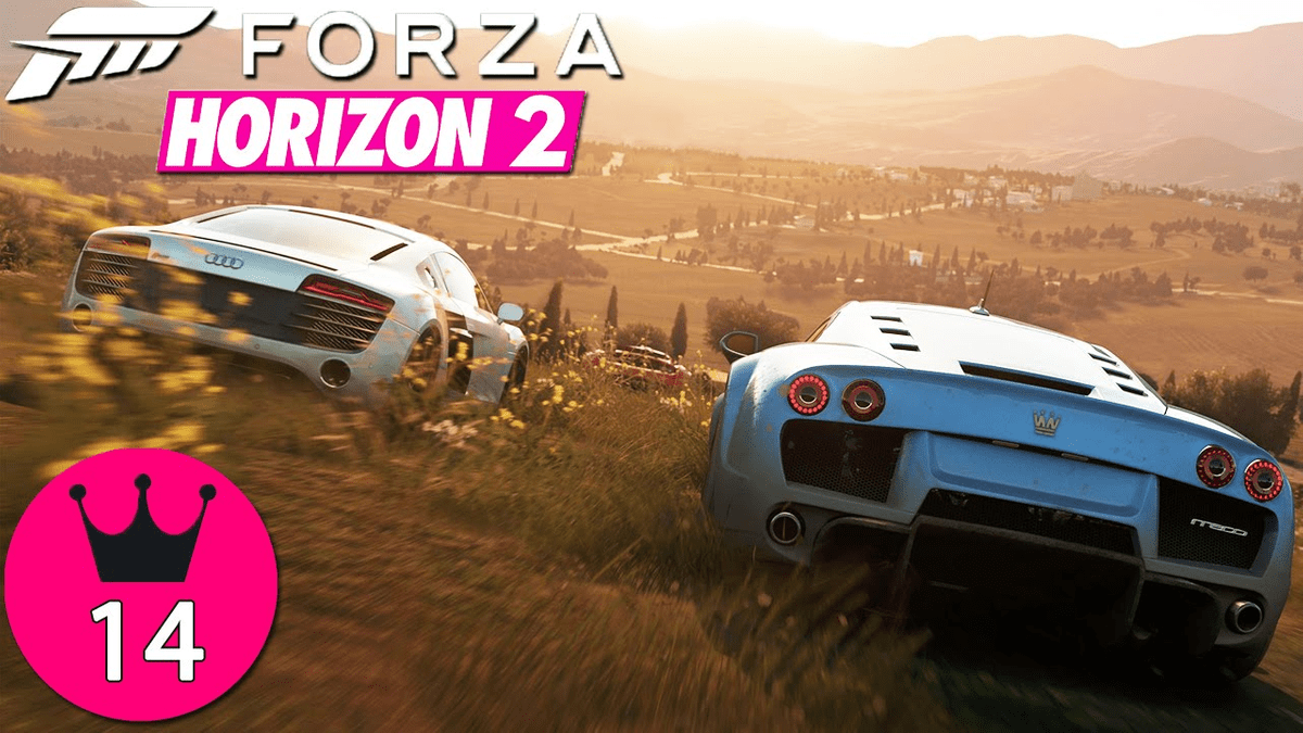 Can i play forza horizon 2 on pc