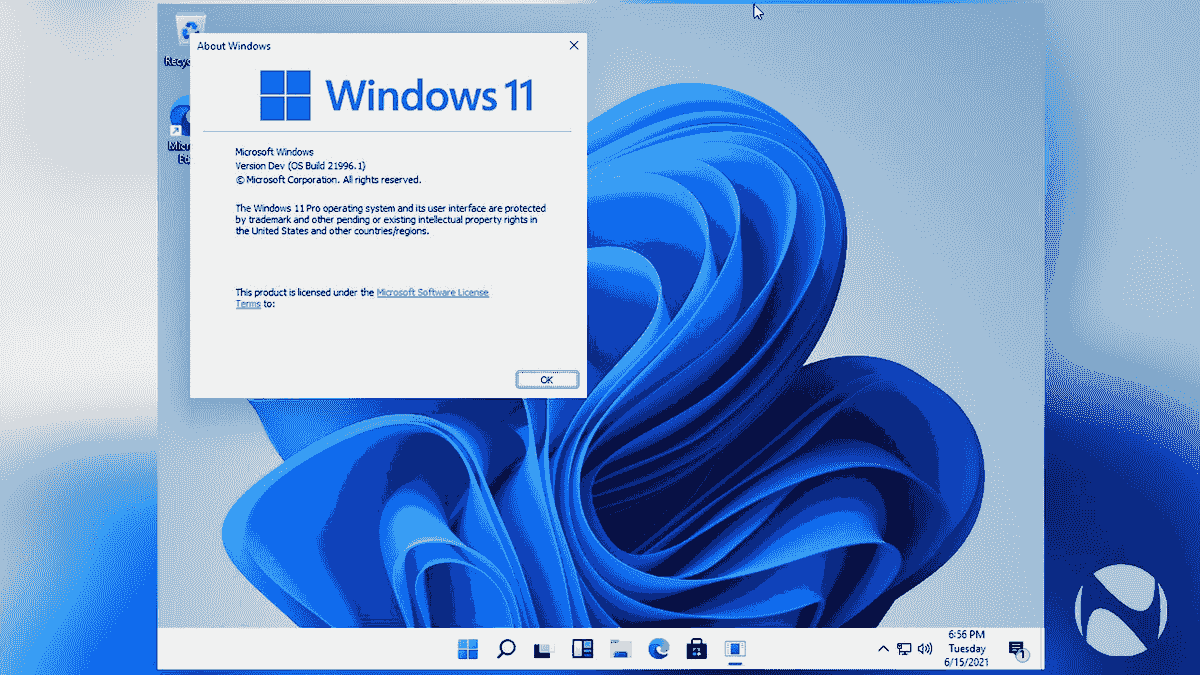Windows 11 installer download
