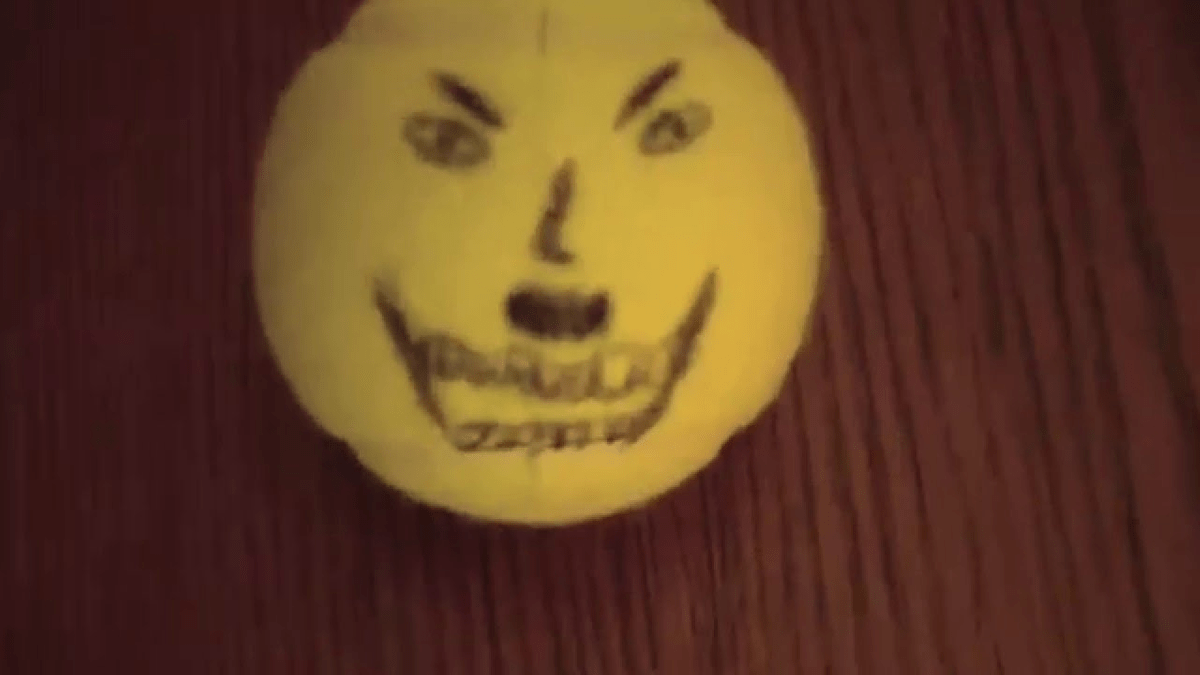 Liveleak harlem shake poop edition