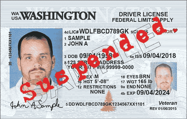What does dd on drivers license mean