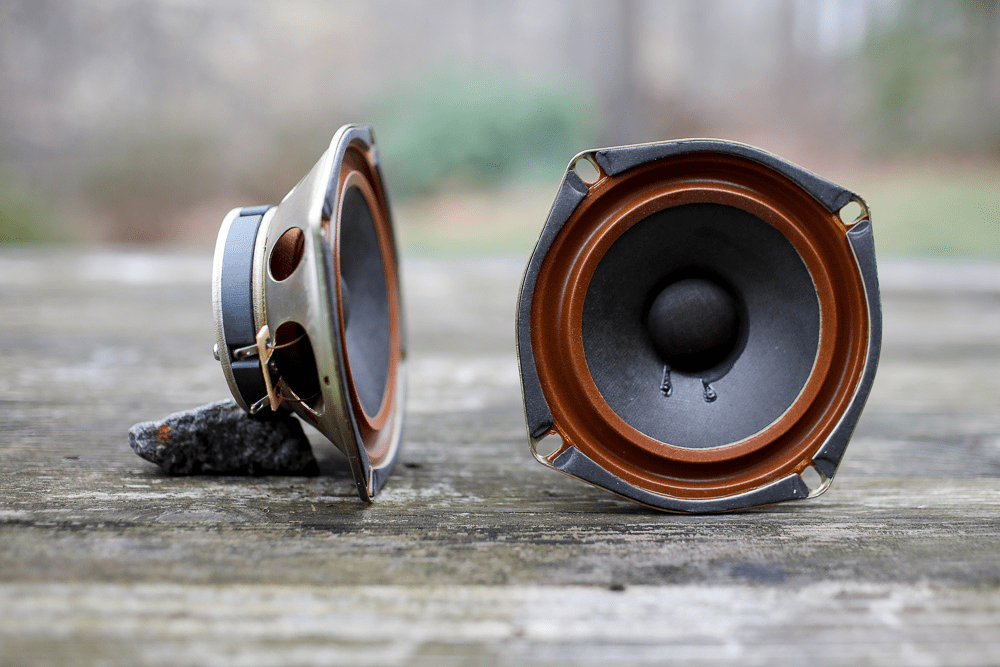 Coral flat 10 full range drivers