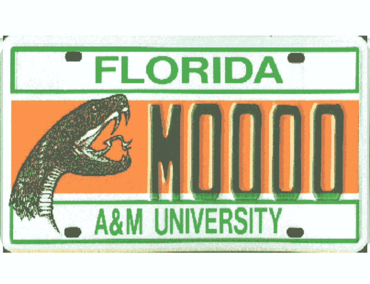 What font is florida UM license plate