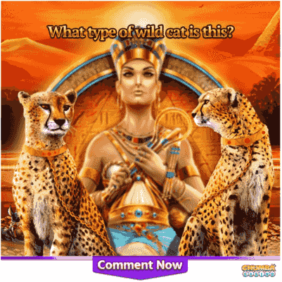 Chumba login casino