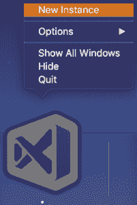 What is visual studio for mac preview