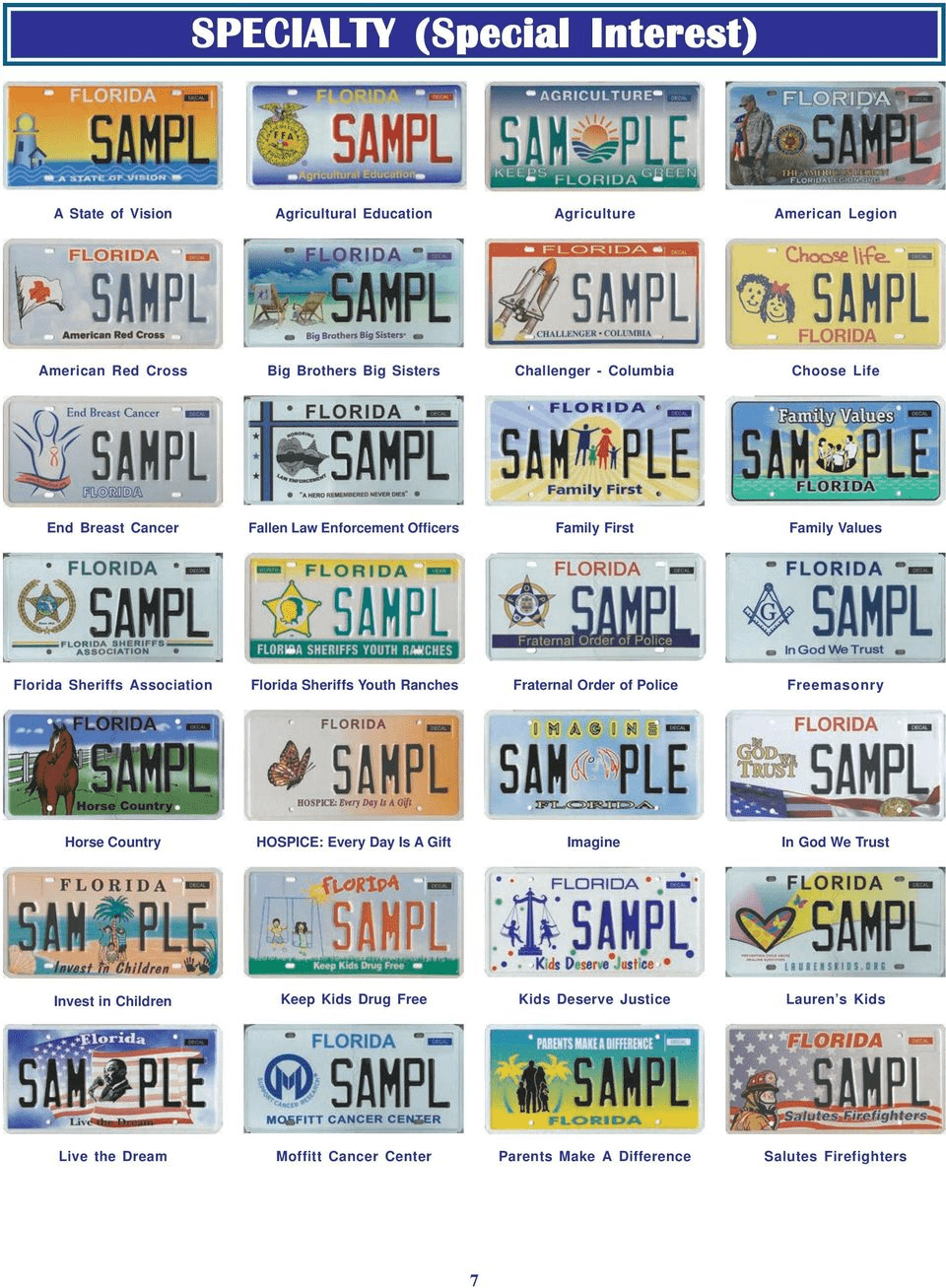 Florida license plate type rgs
