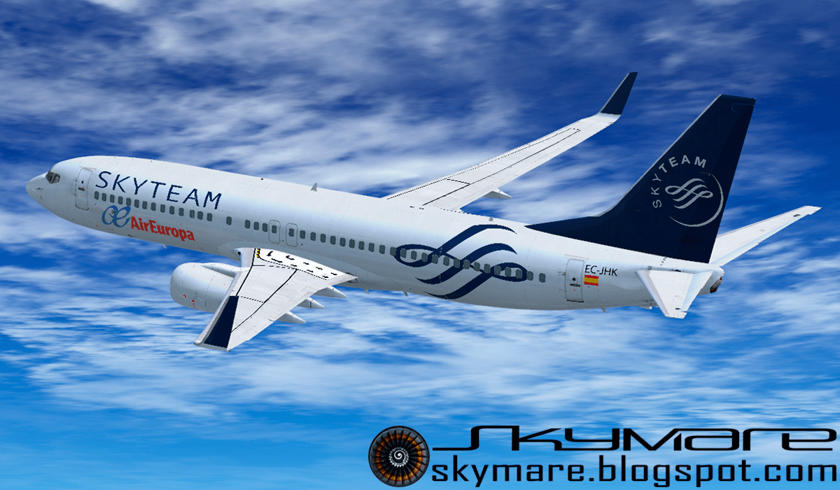 Pmdg 737 800 ngx livery united