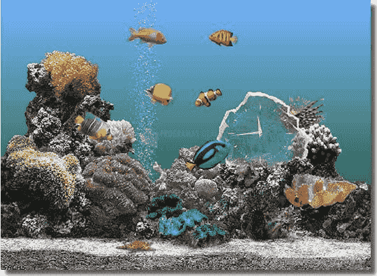 Serenescreen marine aquarium 3 serial key
