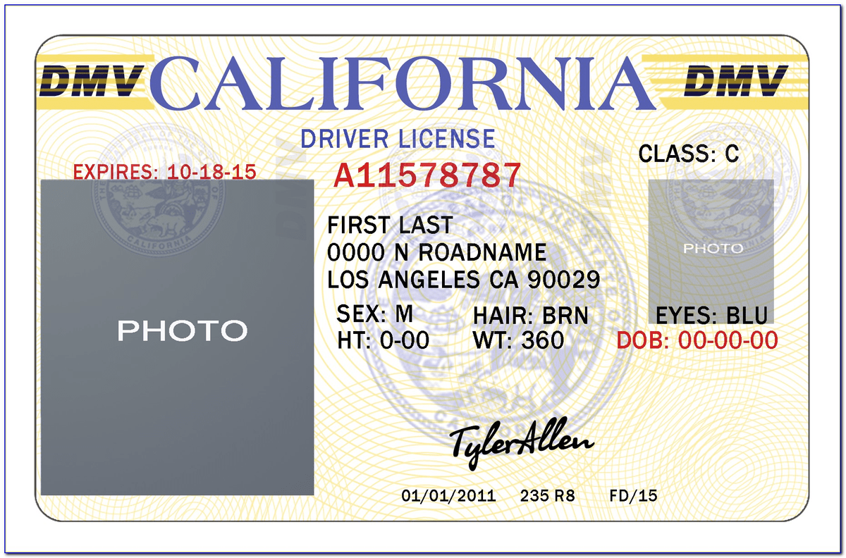Fake drivers license generator