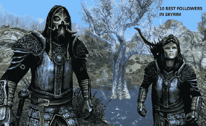 Skyrim se essential followers
