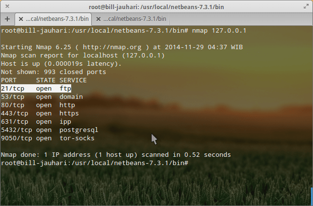 Thc hydra gui for windows